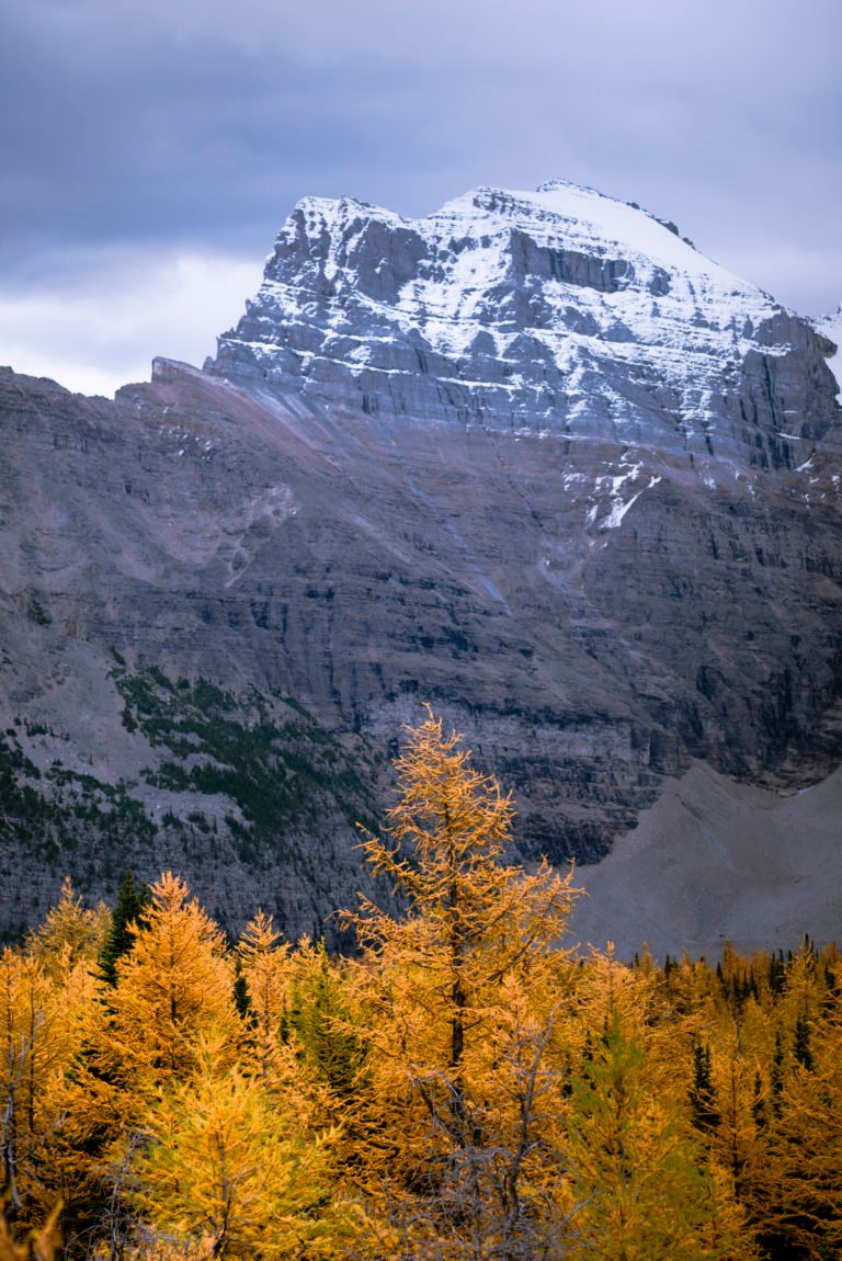 Larch Valley Trail Hike: Everything You Need to Know for 2023