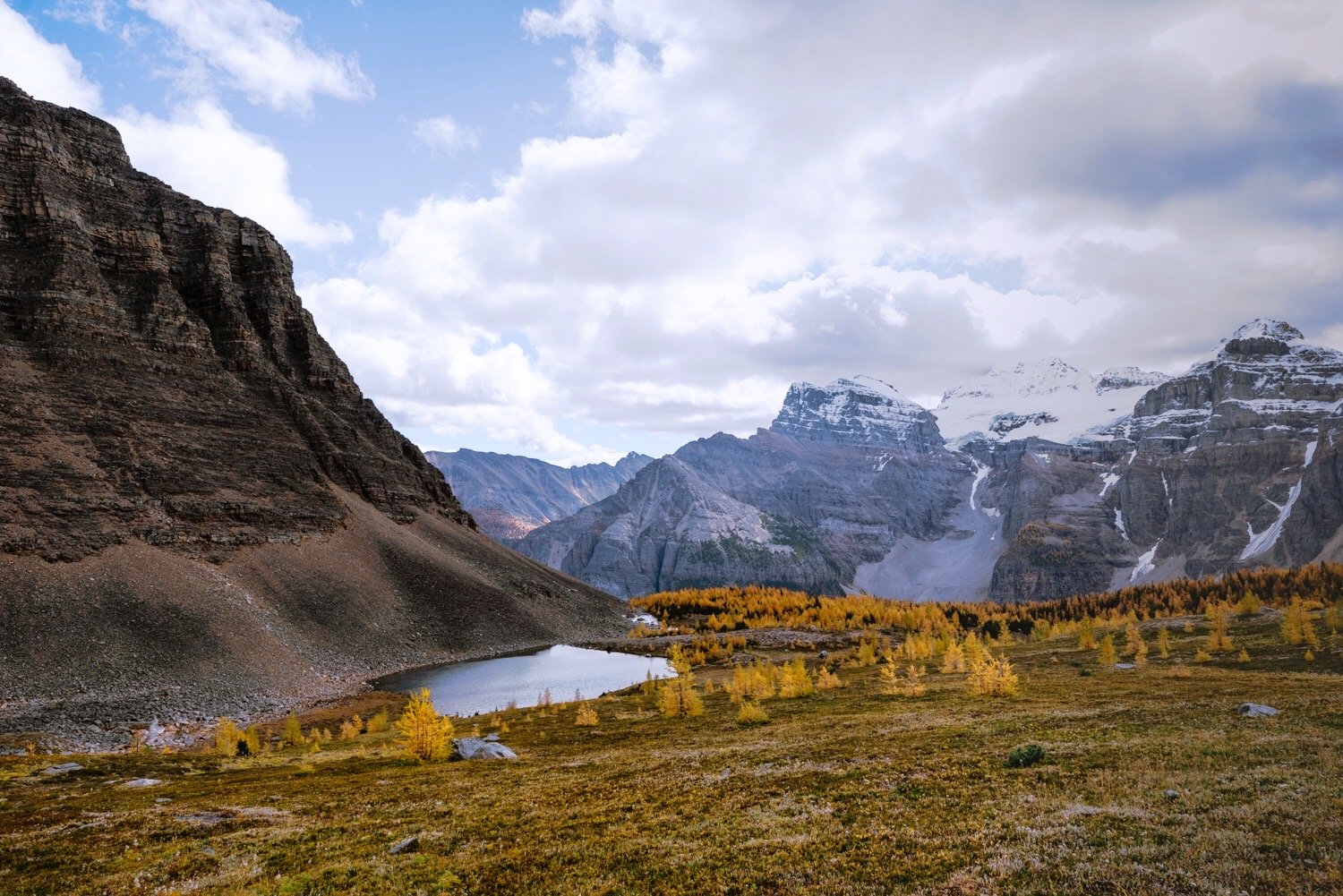 Larch Valley Trail Hike: Everything You Need to Know for 2023