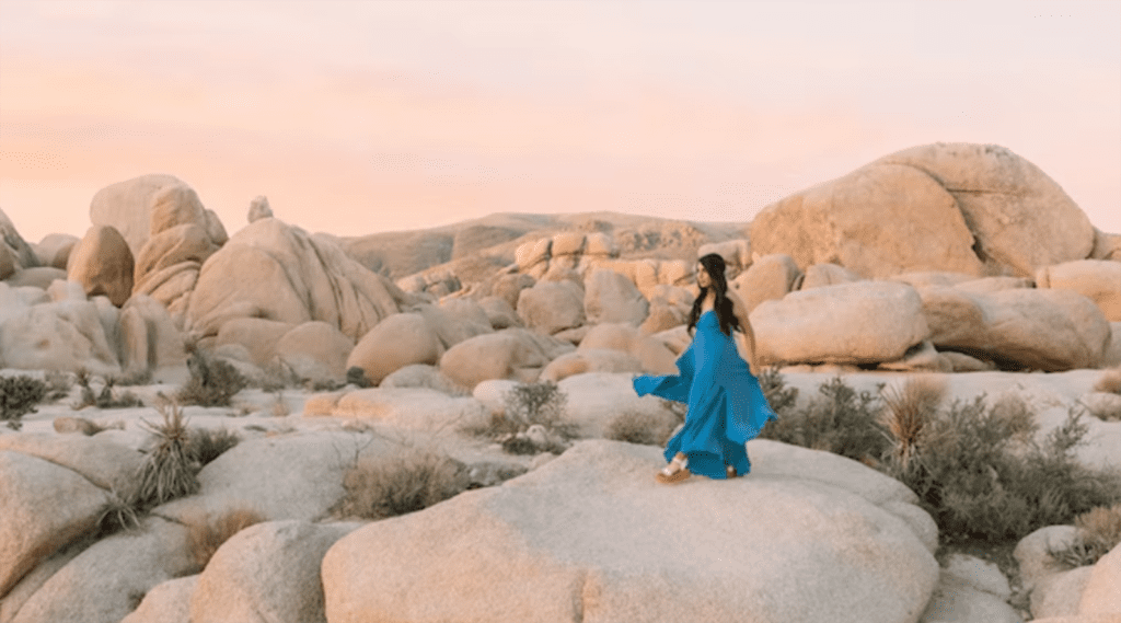 Joshua Tree National Park in November: Complete Guide