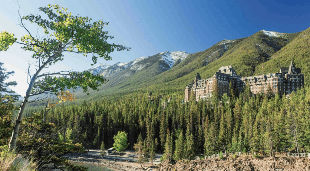 Banff Northern Lights: Your Complete Guide to Seeing Them!