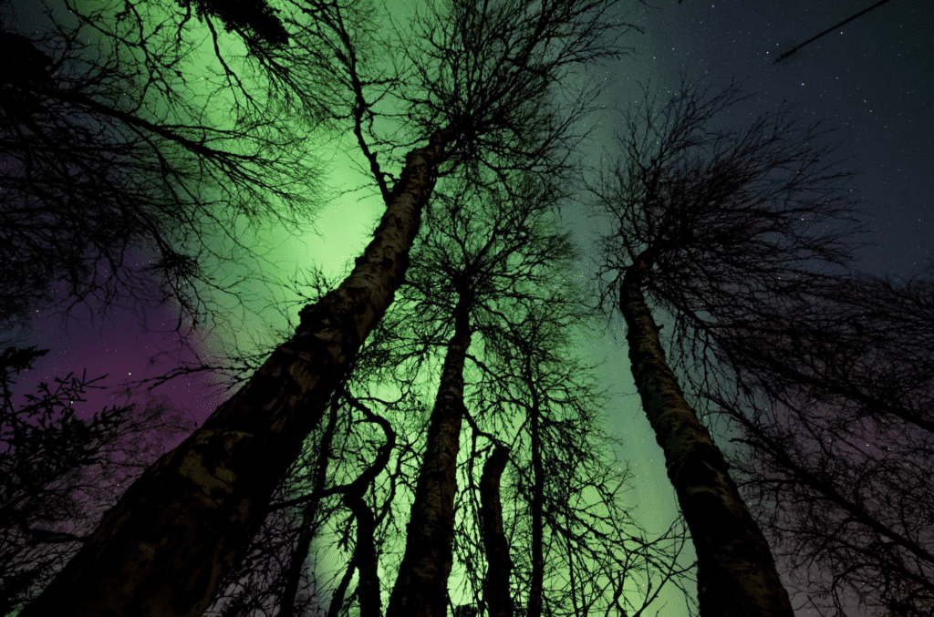 Banff Northern Lights: Your Complete Guide to Seeing Them!