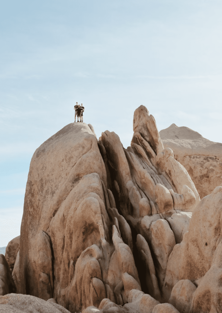 Joshua Tree National Park in November: Complete Guide