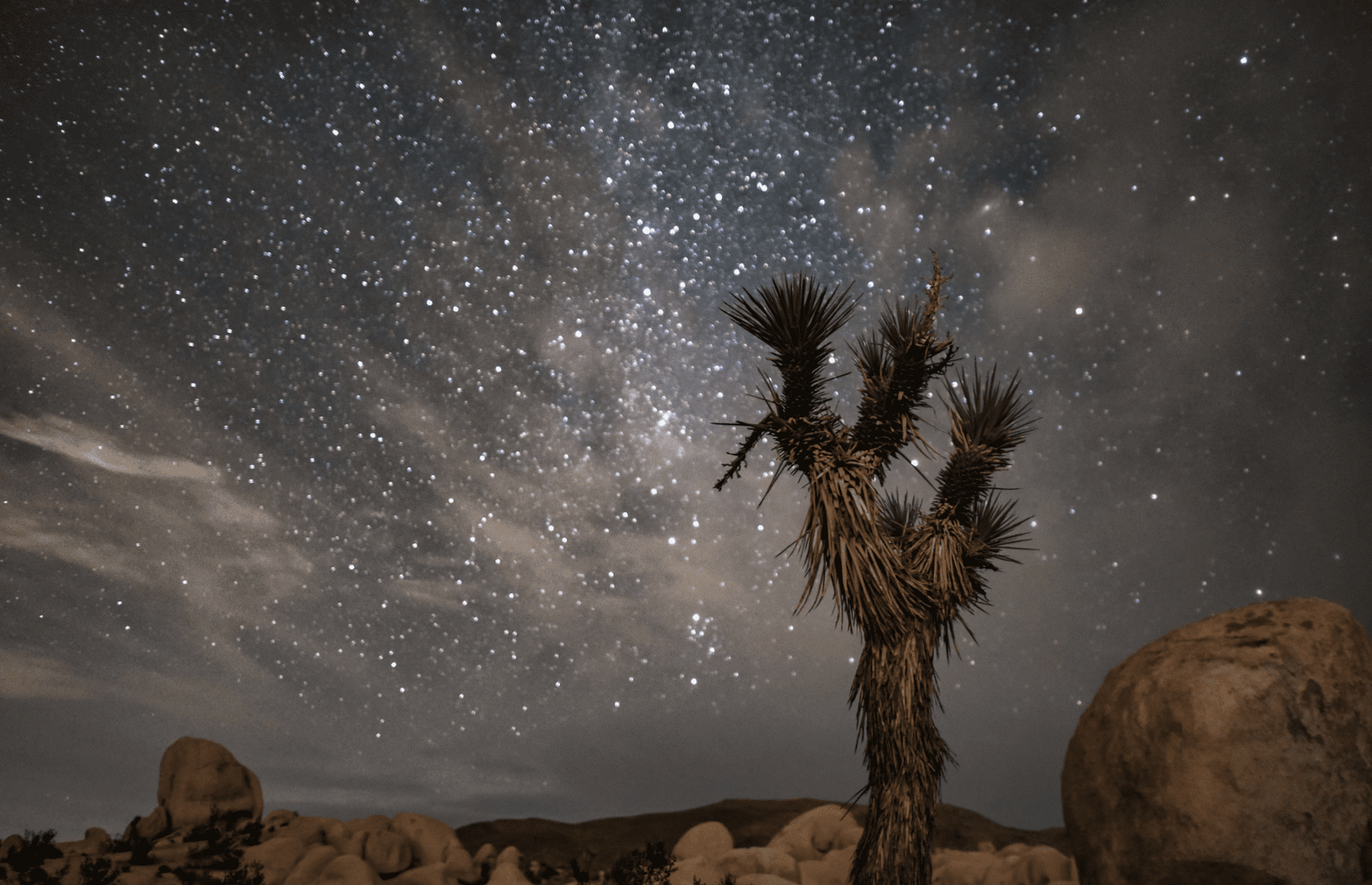 Joshua Tree National Park in November: Complete Guide