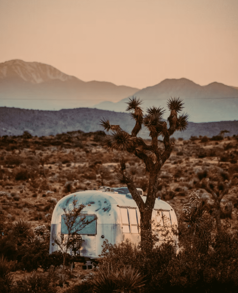 Joshua Tree National Park in November: Complete Guide