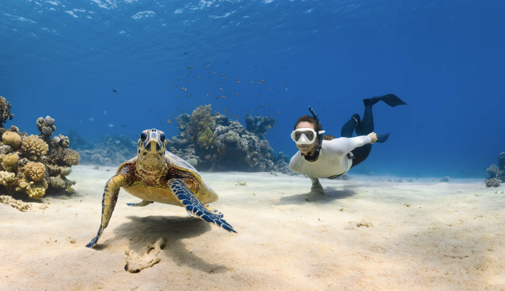 The Best Scuba Diving in Waikiki (Oahu, Hawaii)